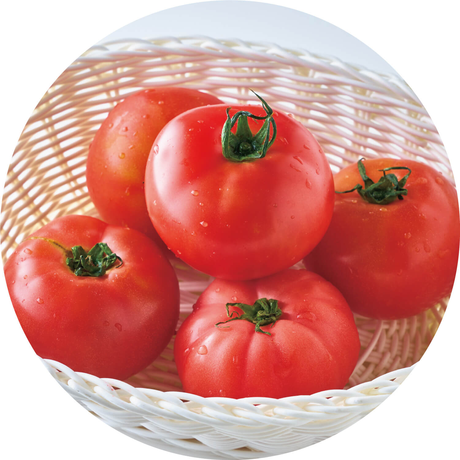夏疲れを美味しくメンテナンス！栄養たっぷり夏野菜レシピ｜健康と食｜50代の健康的な生活に役立つフリーマガジンサイト【めりぃさん】